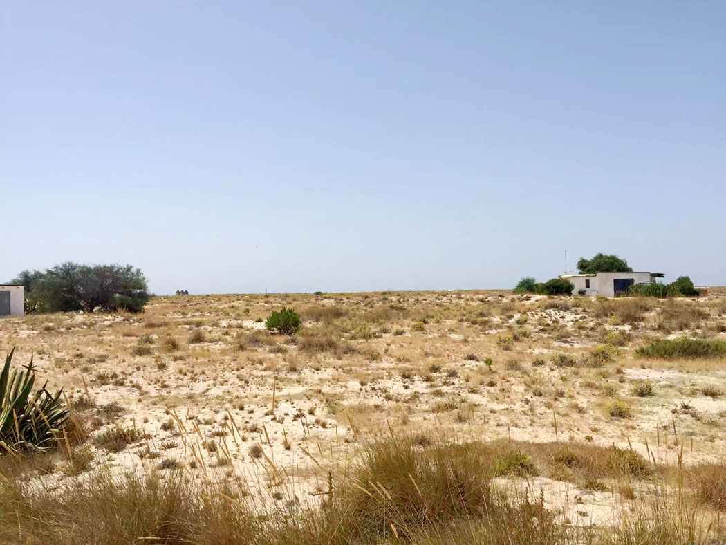 Day-Trip to Armona Island, Algarve, Portugal - Emma Eats & Explores
